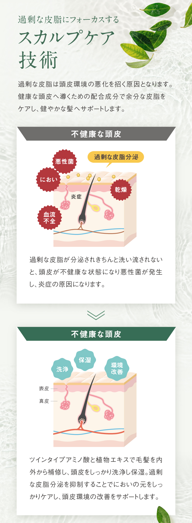 Comprar Off & Relax - Deep Cleanse Spa Shampoo - 460ml