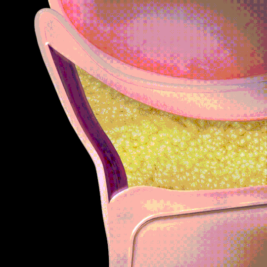 Shop SUNGBOON EDITOR - Silk Peptide Intensive Lifting Eye Cream - 30ml ...