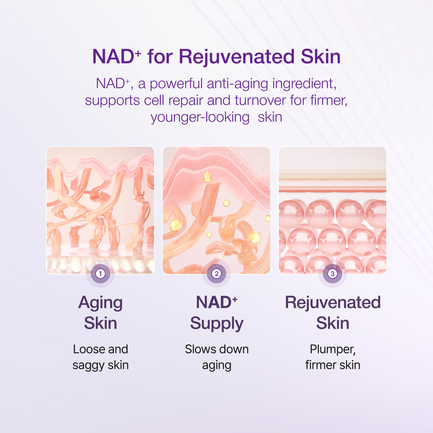 Shop numbuzin - No.9 NAD Bio Lifting Essence - 50ml | STYLEVANA