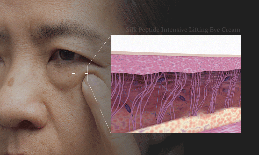 Shop SUNGBOON EDITOR - Silk Peptide EGF Intensive Smoothing Toner ...